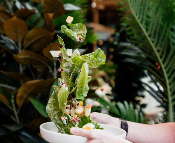 Eat & Drink - Burleigh Town Hotel | The Pub Locals Love